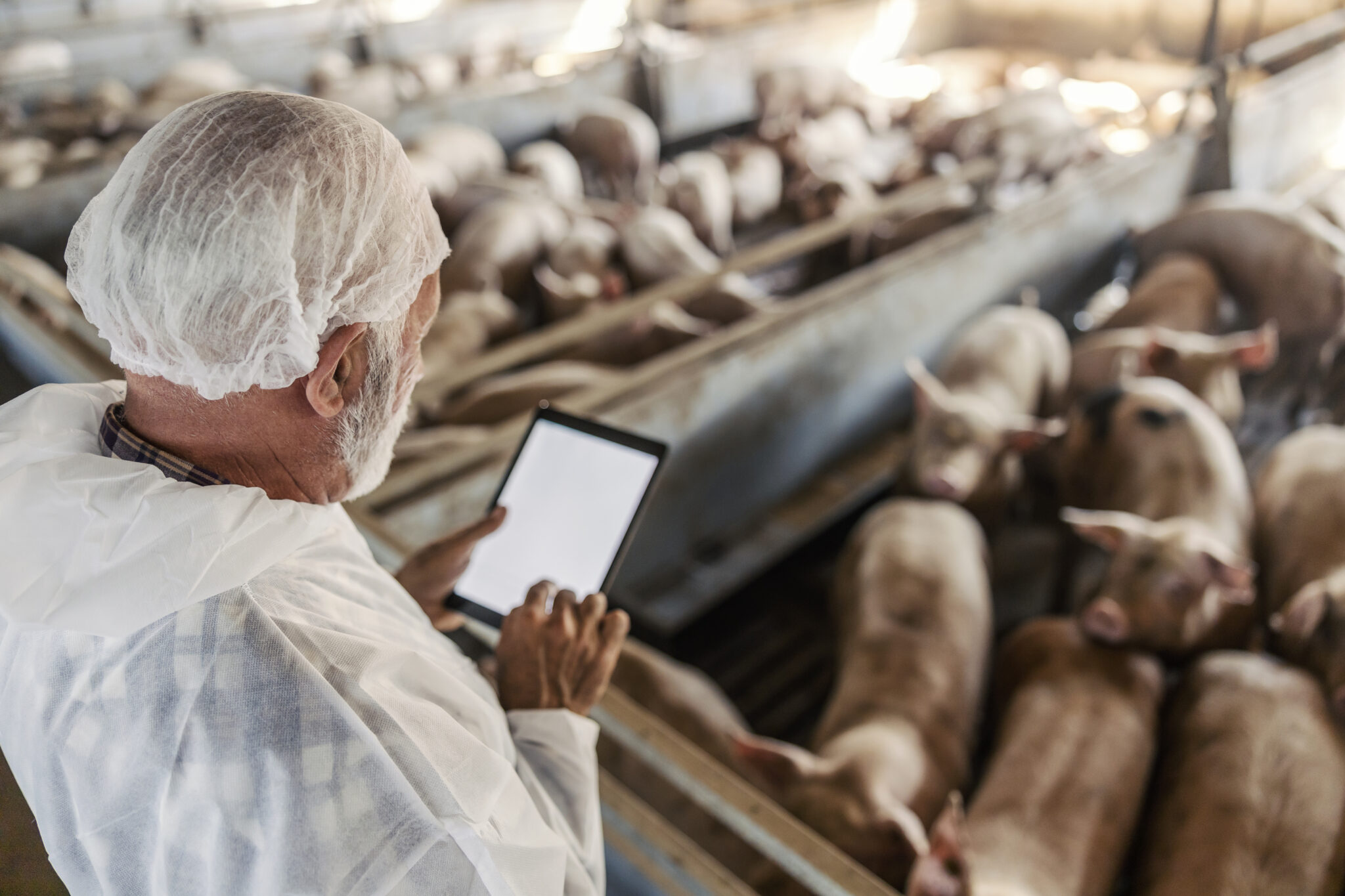 smart-feedlots-for-cattle-and-pigs – Zeus AI