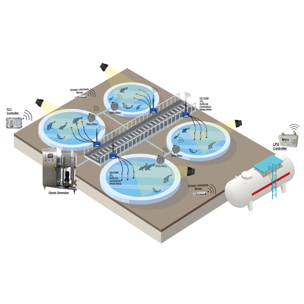 Smart Fish Farming – Zeus AI